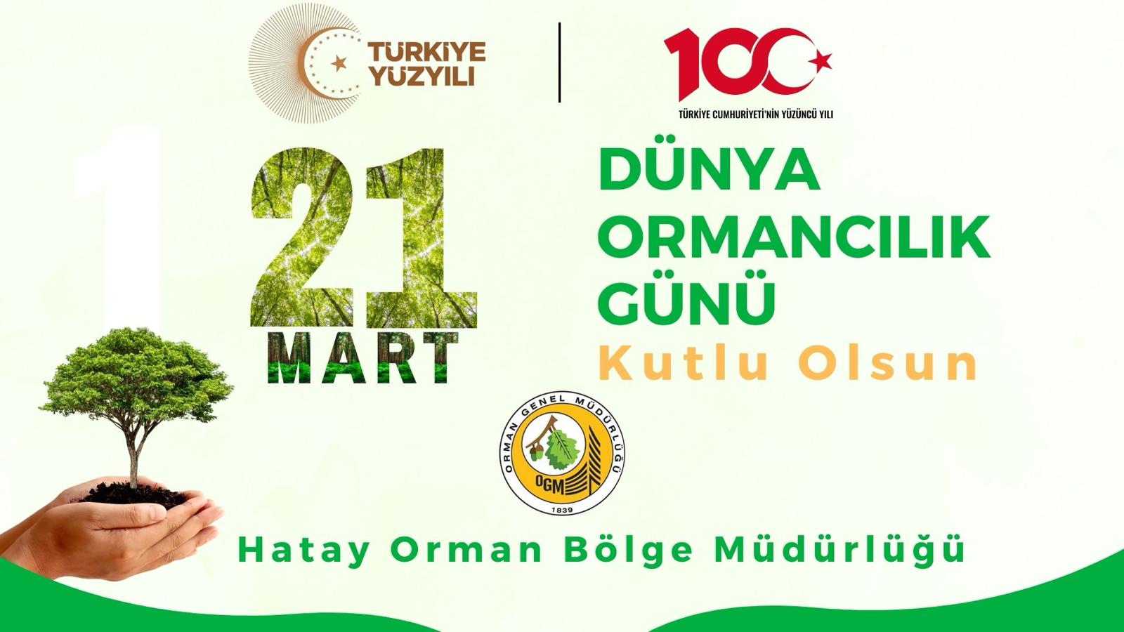 Haber 21 Mart Dünya Ormancılık Günü ve Orman Haftası Kutlu Olsun