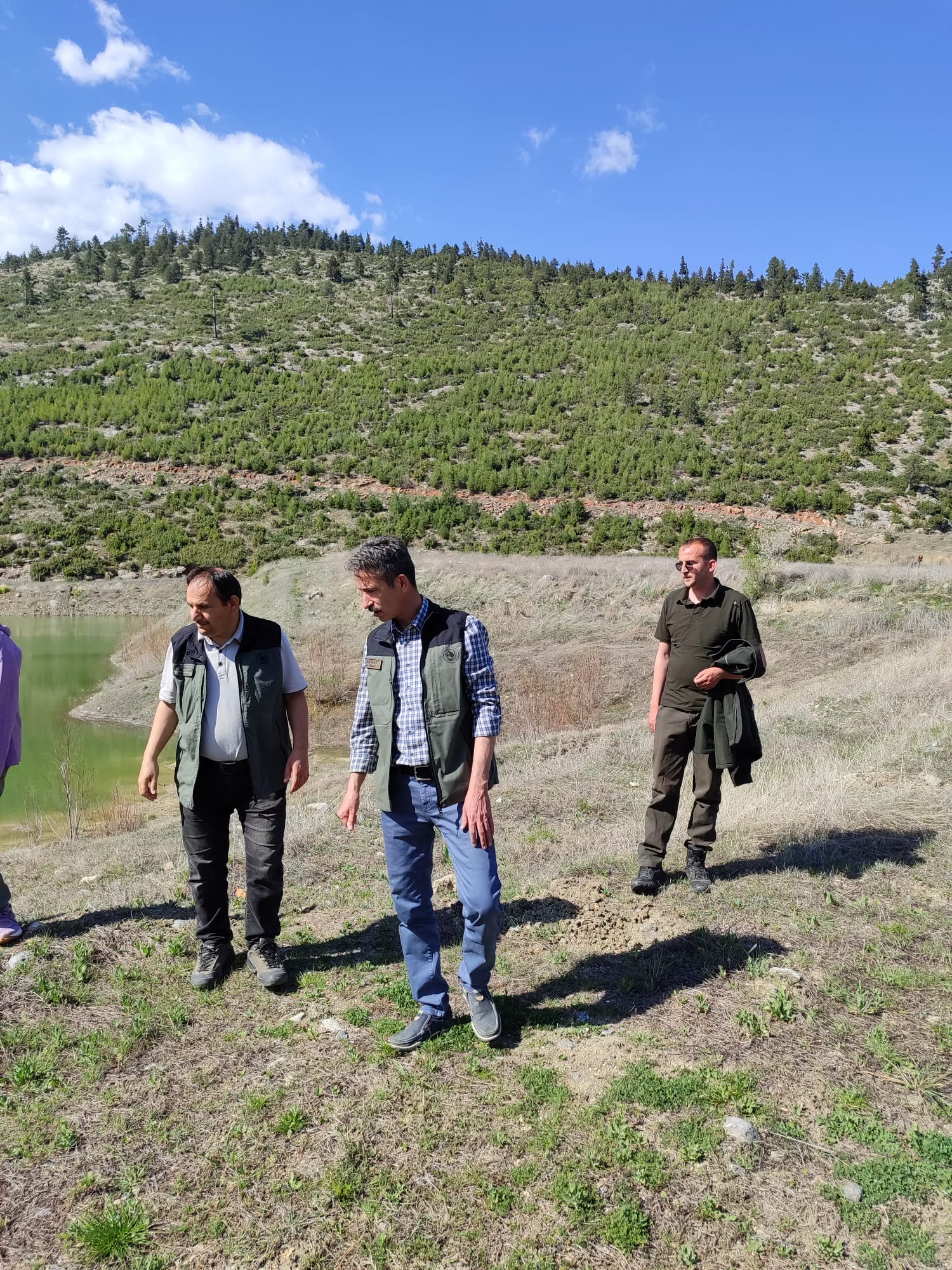 Haber Bal Gibi Ormanlarımız Var