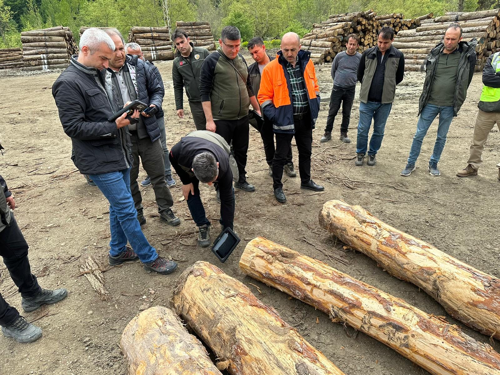 Haber Orman Verimliliktir