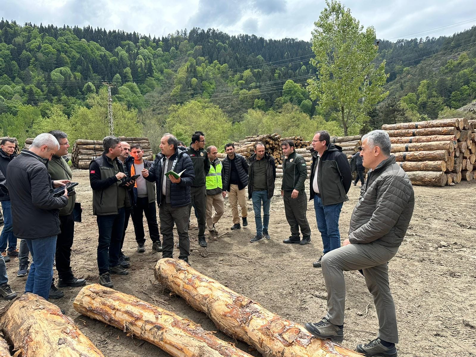 Haber Orman Verimliliktir